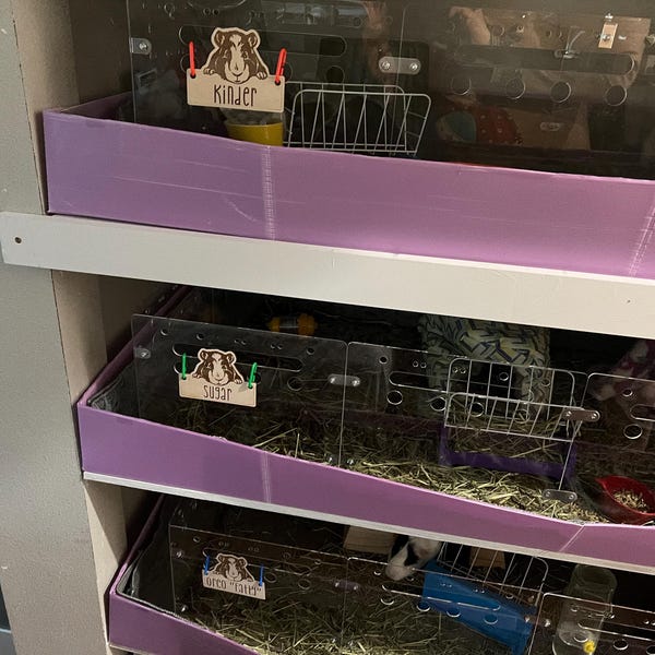 Guinea Pig Trio Cage Tag, Personalized, Custom, Engraved Wood, Pet ...