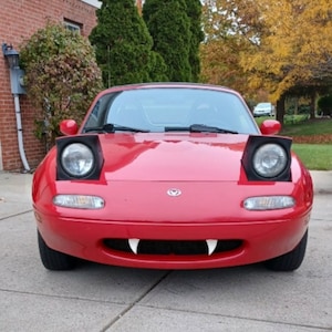 Universal Car Vampire Teeth / Bumper Fangs / Halloween Car Decoration ...