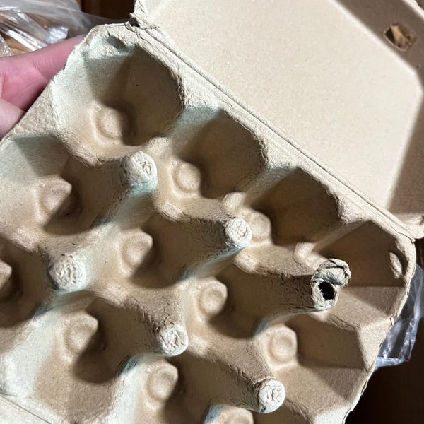 Split-apart Egg Cartons - Vintage Printed Design - Each Carton Can ...