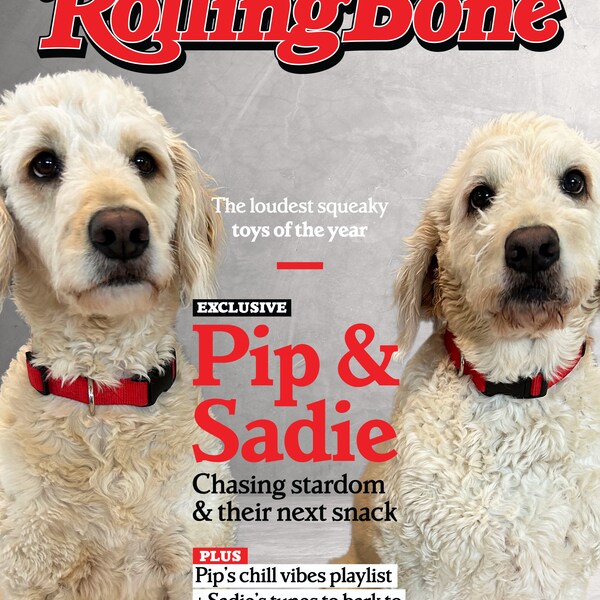Custom Pet Magazine Cover | Digital or Framed | for Dogs and Cats ...