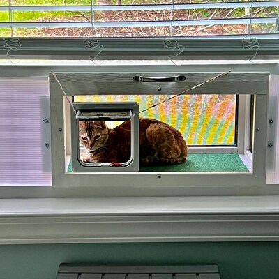 24 Inch Deluxe KP Cat Window Patio-catio-solarium large Deluxe Model - Etsy