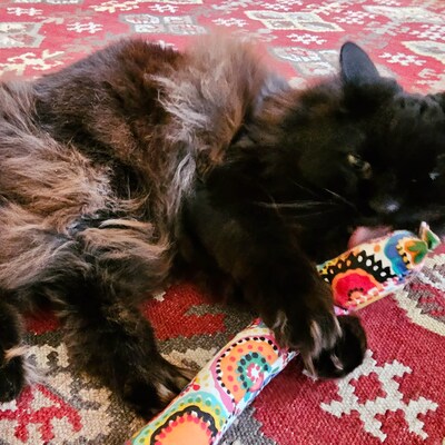 Heavy Duty Kick Sticks, Kick Sticks, Kitty Kickers, Catnip Toys, Cat ...