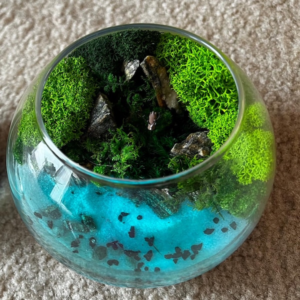 Crystal Glass Terrarium Moss Art, Gift for Sister, Small Terrarium for ...
