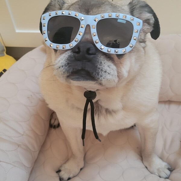 Hello Henri Large Mauve Studded Shades - Etsy