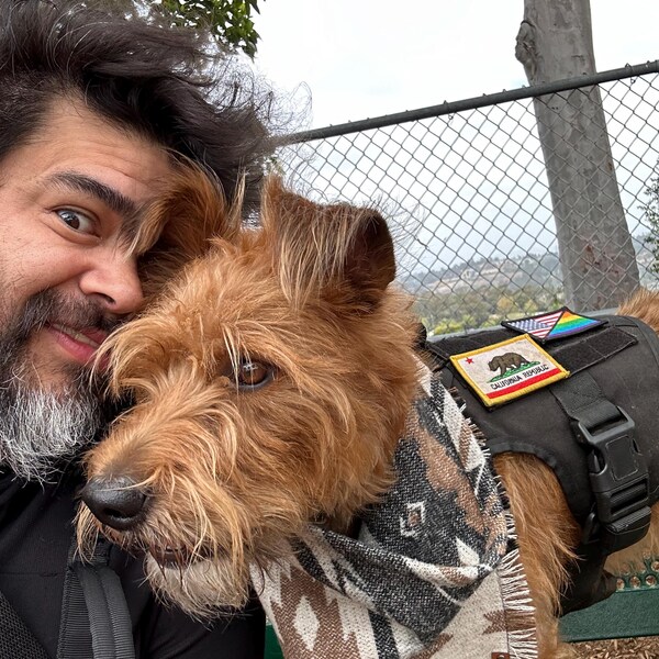 Pet Bandana "tolowa" LIMITED EDITION Black and Brown Aztec Design ...