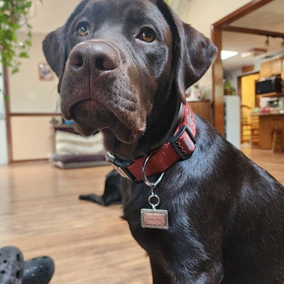 Large Dog Tag Personalized Pet ID Tag With Hand Stamped and Engraved ...