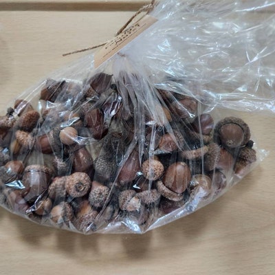 SMALL Real Acorns Natural Acorns Rustic Decor Thanksgiving Decor Table ...