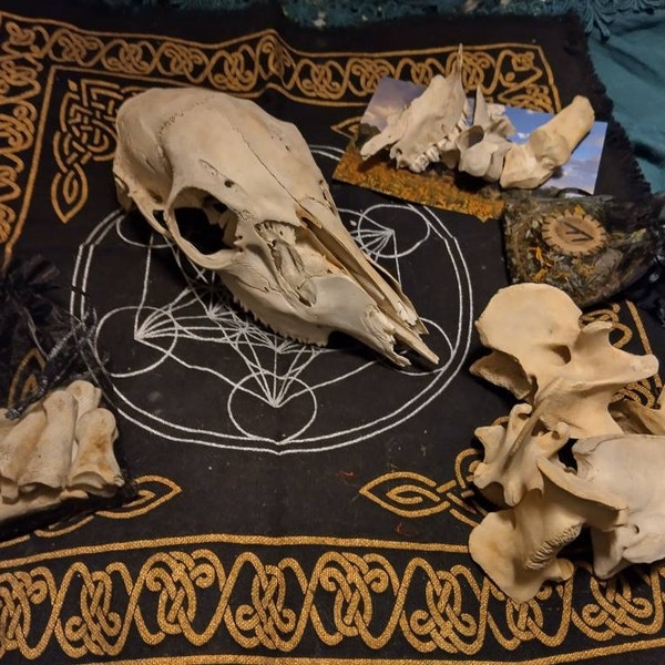 Large Box of Bones and Runes 25 Bones and 4 Runes for Crafting, Jewlery ...