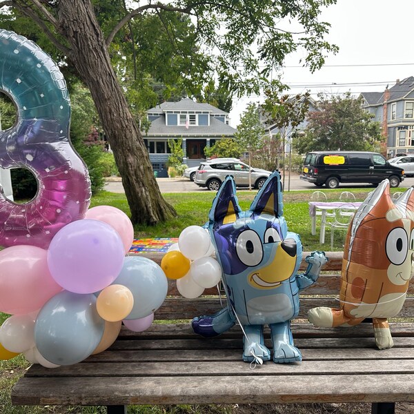 Bluey Balloon Garland | Bluey Daisy Balloon Arch | Bluey Party Decor ...