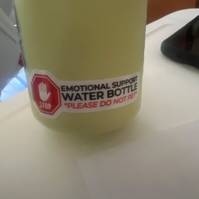 Certified Silly Goose on the Loose Sticker, Silly Goose Waterproof ...