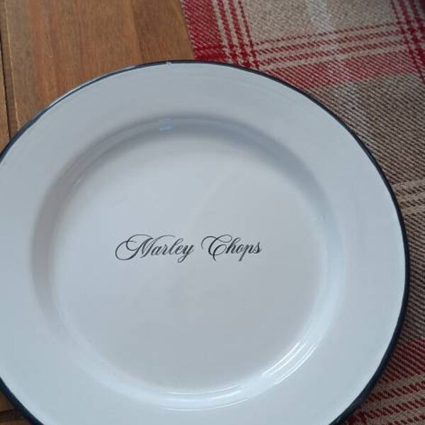 Custom Logo Enamel Plates - 5 Rim Colours of Choice | Wholesale ...