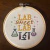 Lab Sweet Lab Science Lab Cross Stitch Pattern Perfect for - Etsy