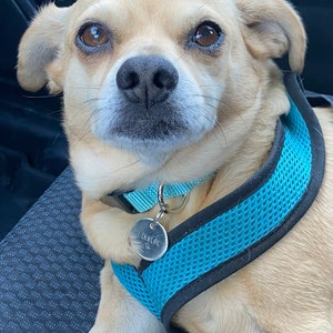 Simple Custom Hand Stamped Dog Tag, Dog Tags for Dogs, Pet Id Tag ...