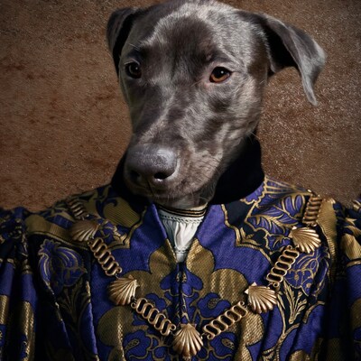 Custom Renaissance Pet Portrait . Custom Renaissance Dog Portrait ...