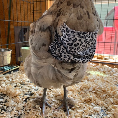 Chicken Bra Crop Support Pendulous Crop Support Crop Bra - Etsy UK