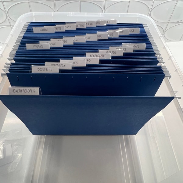 End of Life DIY File Kit, Emergency File Kit, Caretaker File Kit, I'm ...