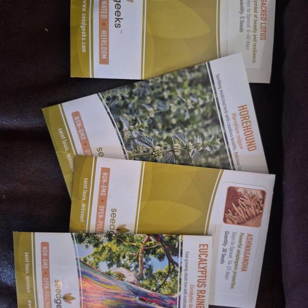 Calendula Officinalis, Fancy Mix Heirloom Seeds, Flower Seeds - Etsy