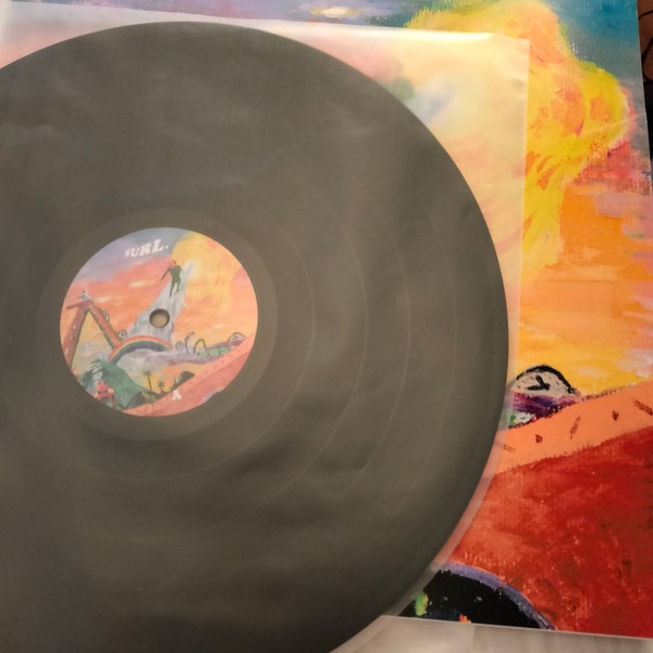 Personalized Vinyl Record Sleeve or Jacket With Your Photos Perfect for ...