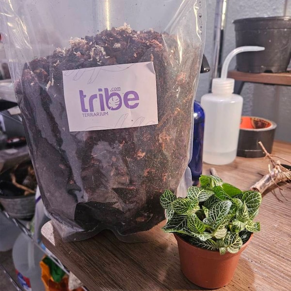 Terrarium Substrate Mix (premium Blend) | Terrarium Soil, Vivarium ...