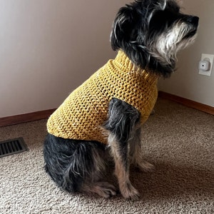 Ledger Sweater CROCHET Pattern Beginner Friendly Sweater for Dogs in 5 ...