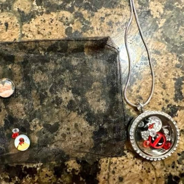 Lion King Inspired Floating Charm Locket Necklace - Etsy