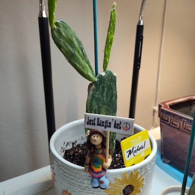 Cat Pot Sitter / Tuxedo Cat / Flower Pot Sitter / Cat Pot Hugger / Cat ...