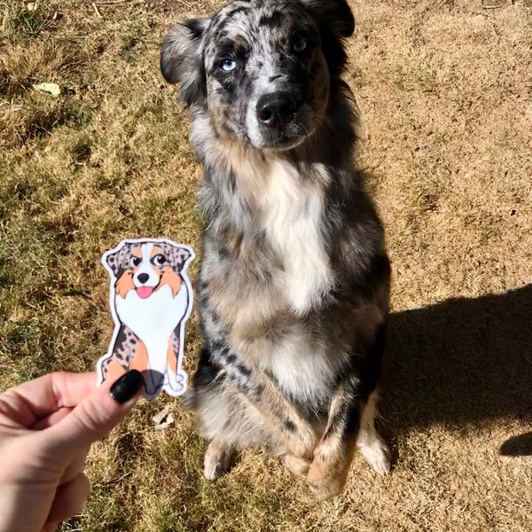 Australian Shepherd Sticker || Aussie Chibi Puppy Dog, Vinyl, Hand ...