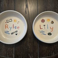 Custom Cute and Cheerful Pet Plate, 2 to 3 Designs, Handmade Pottery ...