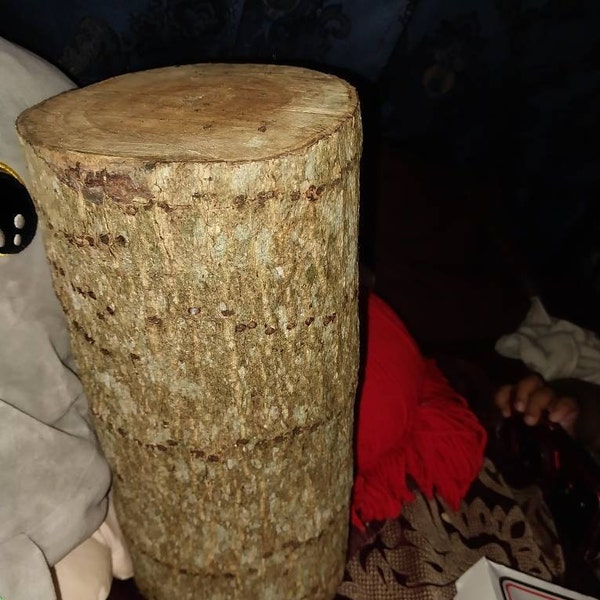 Tronco De Ochosi De Almendra | Almond Tree Trunk for Oshosi Ochosi ...