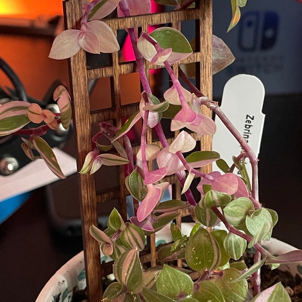 Dollhouse Miniature Trellis (2pc) - Dollhouse Miniatures, Fairy Garden ...