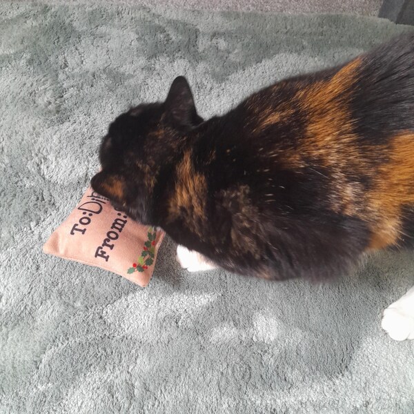 Catnip Personalised Letter From Santa Cat Toy, Christmas Catnip Gifts ...