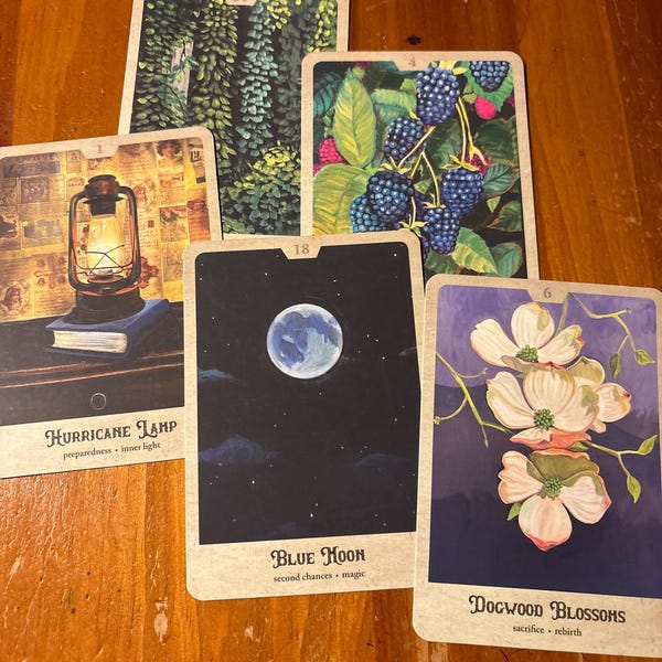 The Relative Tarot by Carrie Paris, 80 Card Tarot Deck With Little ...