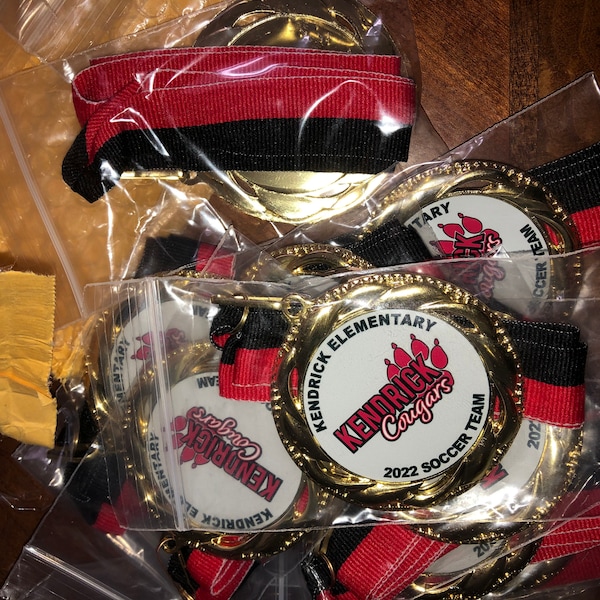 Custom Insert Medals Recognition Medals Insert Medals Scholastic Medals ...