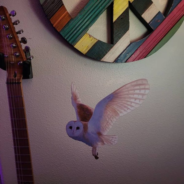 Crow Decal, Flying Raven Vinyl Decal, Bird Lover Gift, Illustrated ...