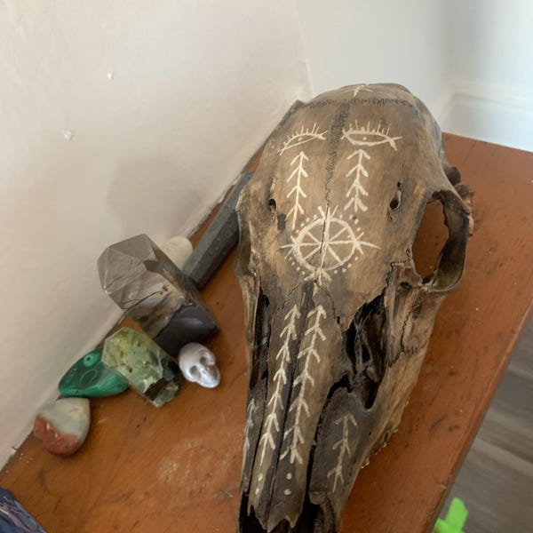 Made to Order : Primitive Sigil Deer Jawbone Ritual Knife - Etsy