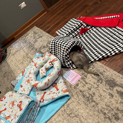 Large Fleece Coffin Bed, Drac Inspired Design, Halloween Pet Bed, Cat ...