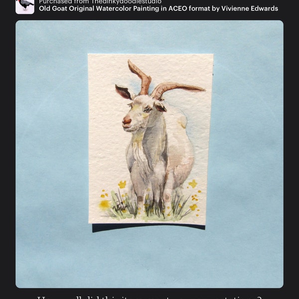 Fieldfare Thrush Watercolor Painting, Original Artwork, 5 X 7 Inch Bird ...