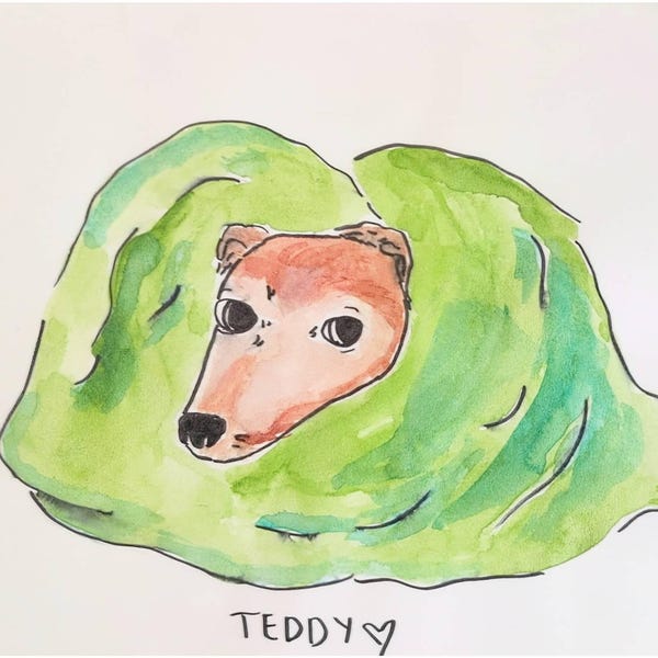 A Signed Print of Any Single Panel Cartoon I've Done - Etsy