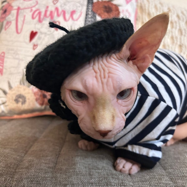 Crochet Cat Hat Pattern Beret - Etsy