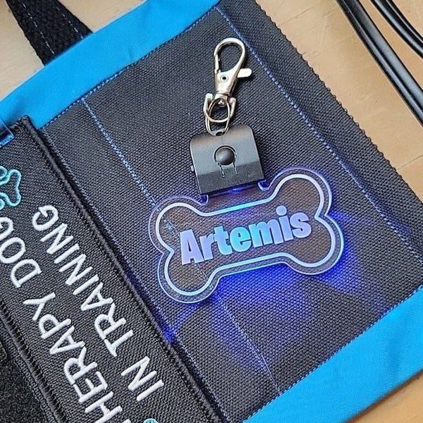 Human Pup Necklace - Light up Dog Tag - Color Changing - Stocking ...