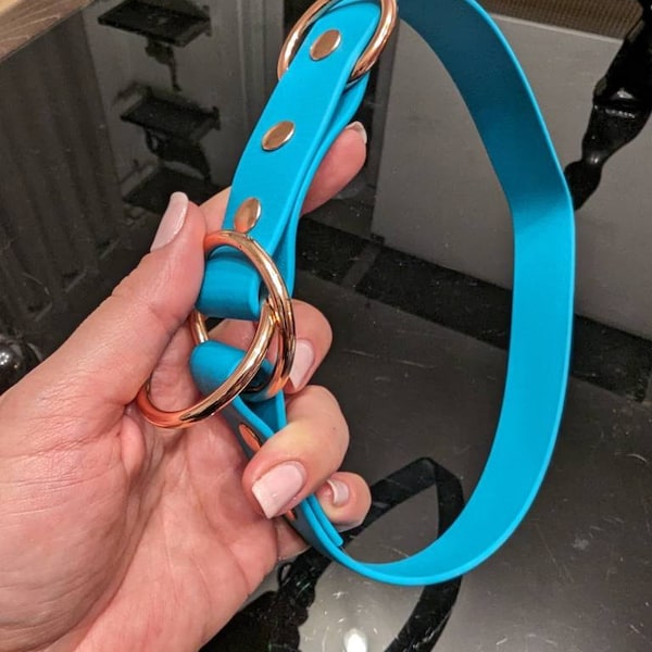 Teal Biothane Waterproof Dog Collar - Etsy UK
