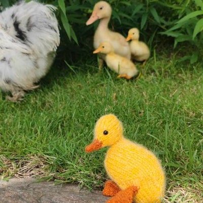 KNITTING PATTERN NEW Lucky Duckling - Etsy