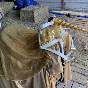 Dragon Hunter Horse Costume Medieval Barding Costume - Etsy