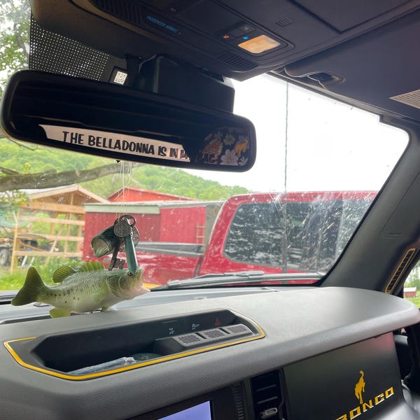 Eyes Decal, Tiny Eyes, Little Eyes, Pretty Eyes, Car Mirror Decal, Mini ...