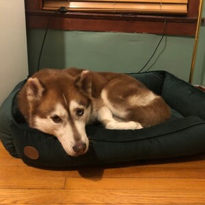 Personalized Pet Bed for Cane Corso Extra Large Dog Breed / | Etsy