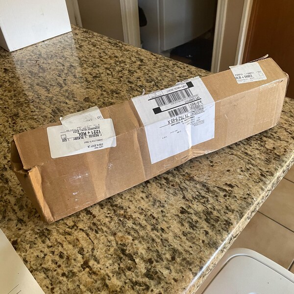 Chinese Elm Quart Container - Etsy