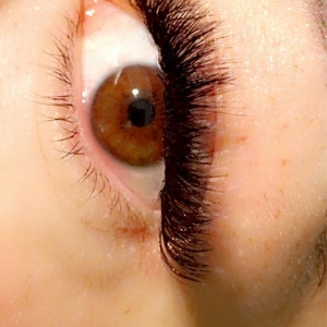 L Curl 8D Volume Lashes, Achieve the Perfect Fox Eyes, Cat's Eye, and ...
