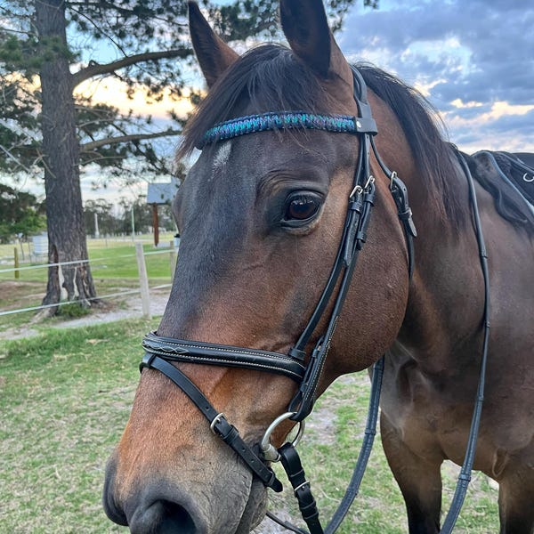 Rope Neckrope Camo - Custom Made Tassel Cordeo - Handmade Equestrian ...