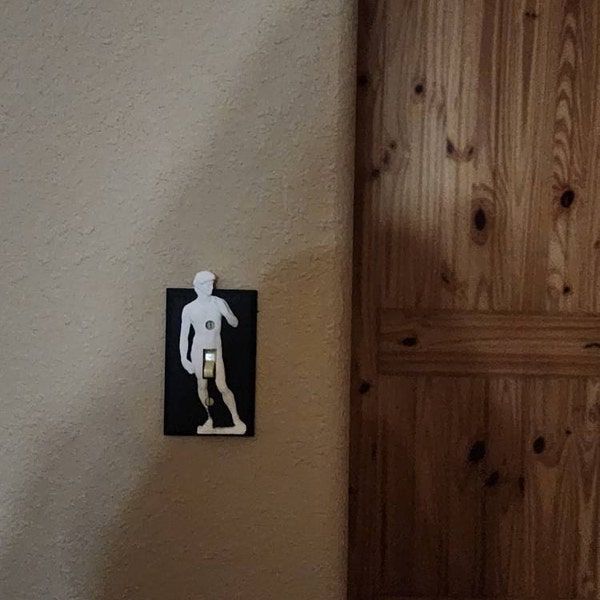 Michelangelo's David Light Switch Cover: 3D Sculpture, Sophisticated ...