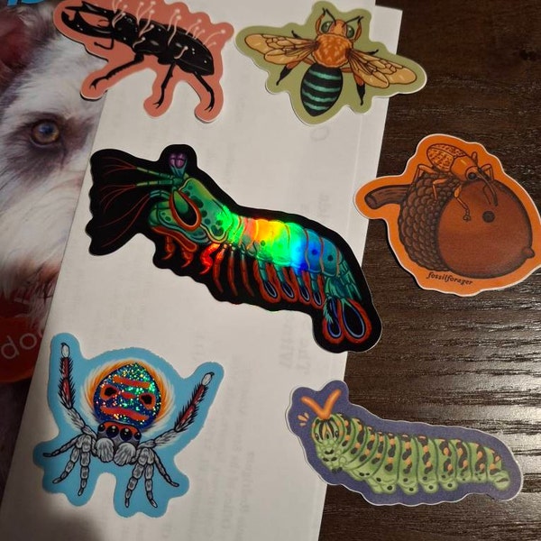Blue-banded Bees on Branch Sticker / Insect Sticker / Entomologist ...